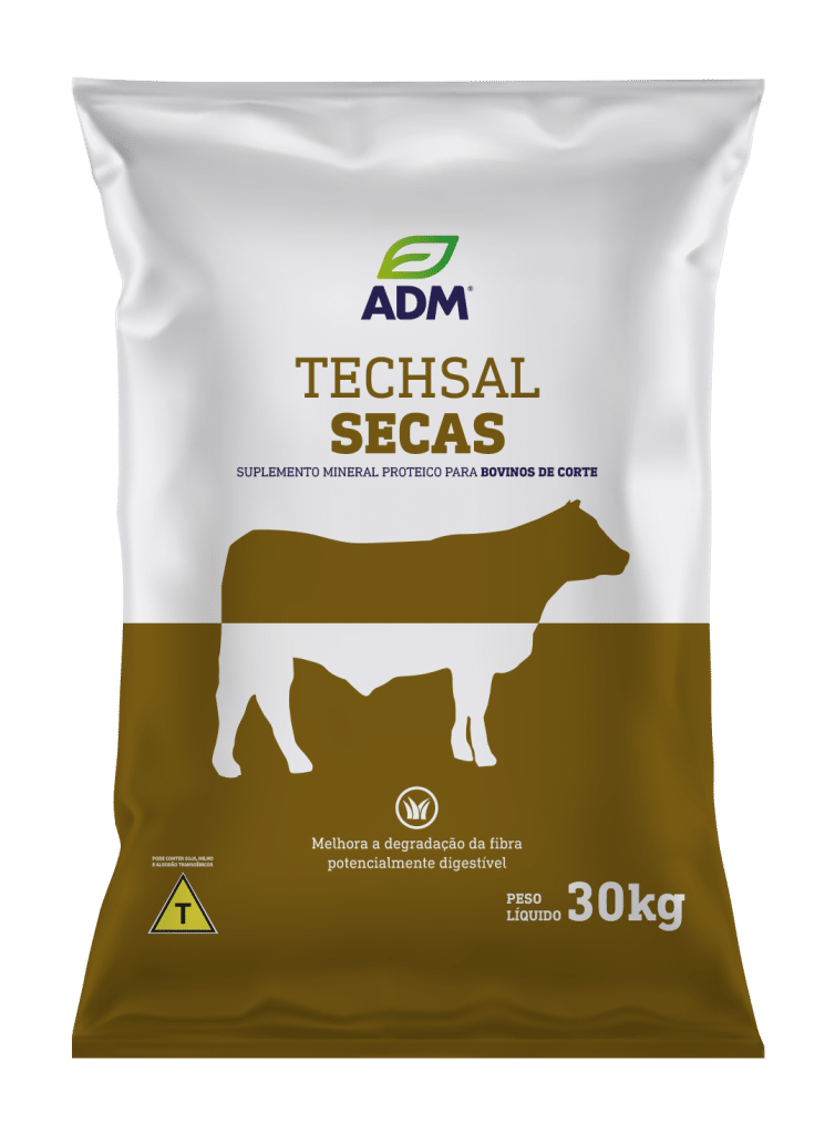 TECH SAL STARTER - ADM